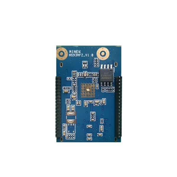 WiFi Modules - MinewSemi Store