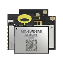 Combo Modules - MinewSemi Store