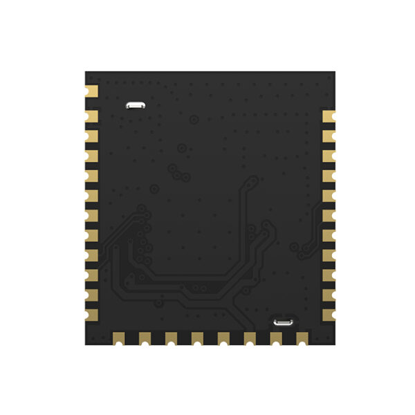 LoRa Modules - MinewSemi Store